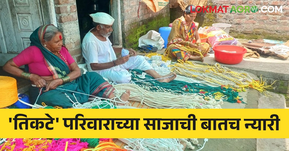 Bailpola : बैलपोळा सणाला सर्जा-राजाच्या साजासाठी हाताने बनवलेल्या 'या ...