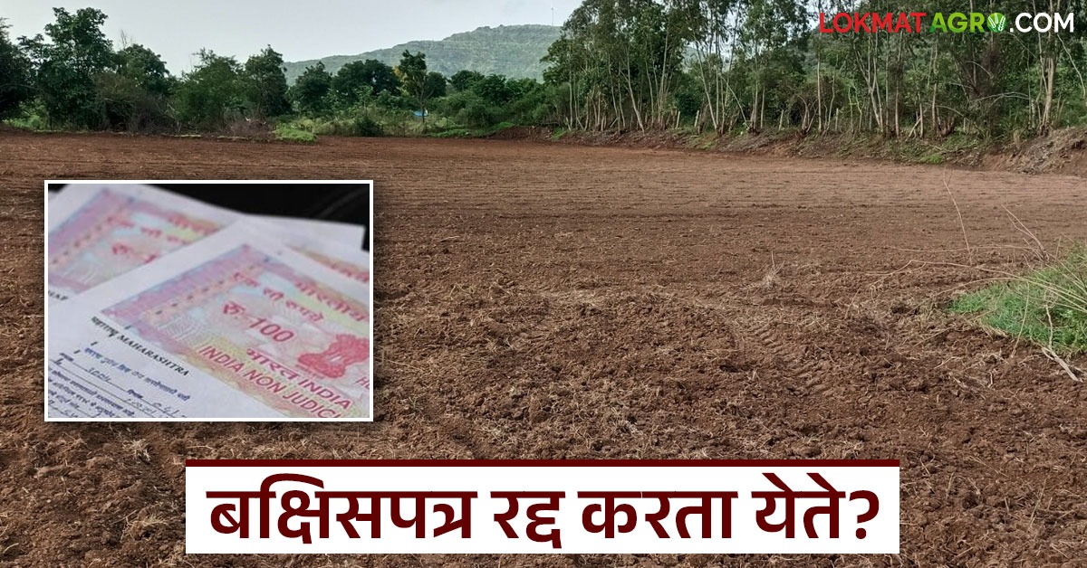 Bakshish Patra : शेत जमिनीचे बक्षिसपत्र रद्द करता येते का? नेमकी ...