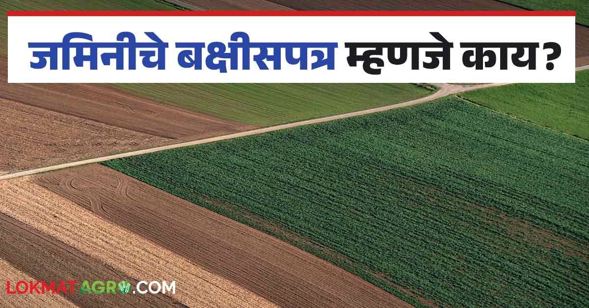 Jaminiche Bakshish Patra : जमिनीचे बक्षीसपत्र म्हणजे काय? आणि ते का ...