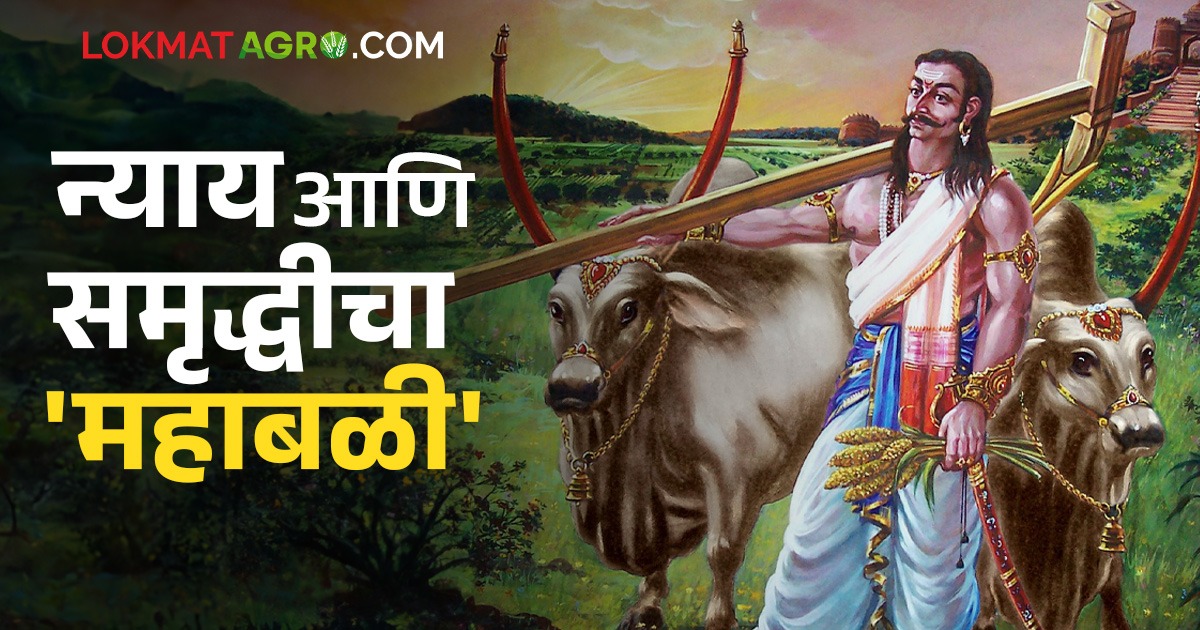 Balipratipada Padwa : बलीप्रतीपदा म्हणजे नक्की काय? आणि या दिवशीची काय ...