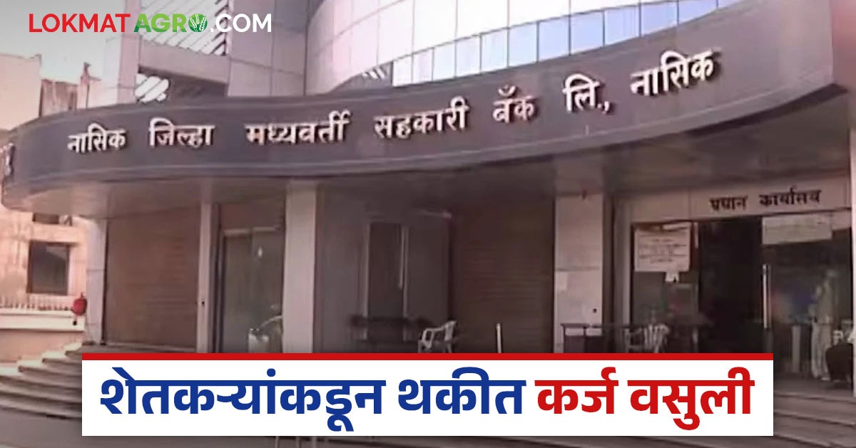 सामोपचार योजना लागू, नाशिक जिल्हा बँकेकडून पहिल्याच दिवशी 25 लाखांची ...