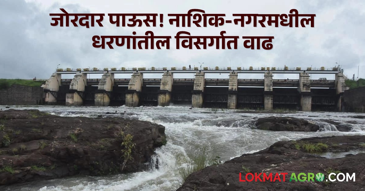 Nashik Dam Updates : नाशिक जिल्ह्यातील धरणांतून पाण्याचा विसर्ग वाढला ...