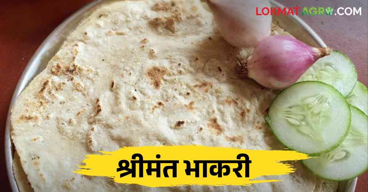 ही भाकरी म्हणजे आता श्रीमंतीचा थाट, कुठल्याही ऋतूत खा ठरतेय फलदायी ...