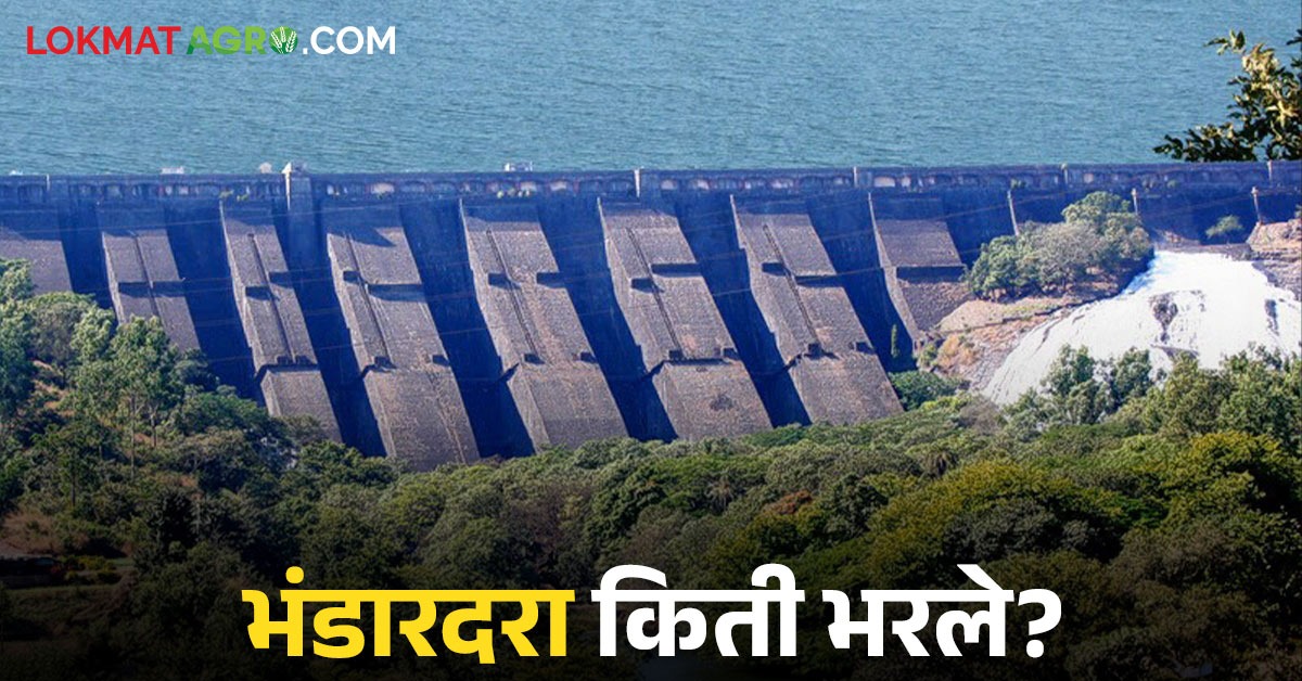 घाटघर येथे पुन्हा पाच इंचाहून अधिक पाऊस; भंडारदरा धरणात झाला किती ...