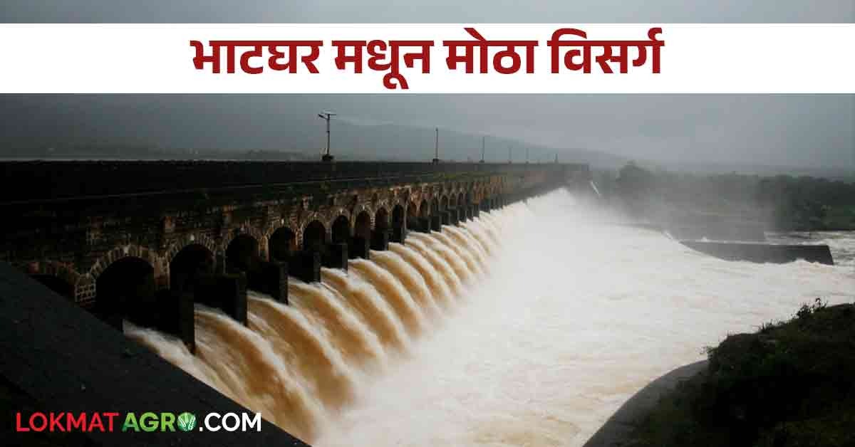 Bhatghar Dam : भाटघर ओहरफ्लो धरणाचे ३० स्वयंचलित दरवाजे उघडले ...