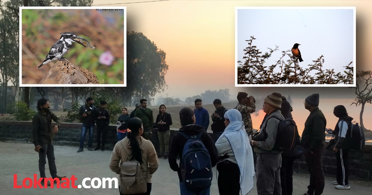 कोल्हापुरातील कळंबा तलावावर १०५ प्रजातींच्या पक्ष्यांचा वावर Kolhapur ...