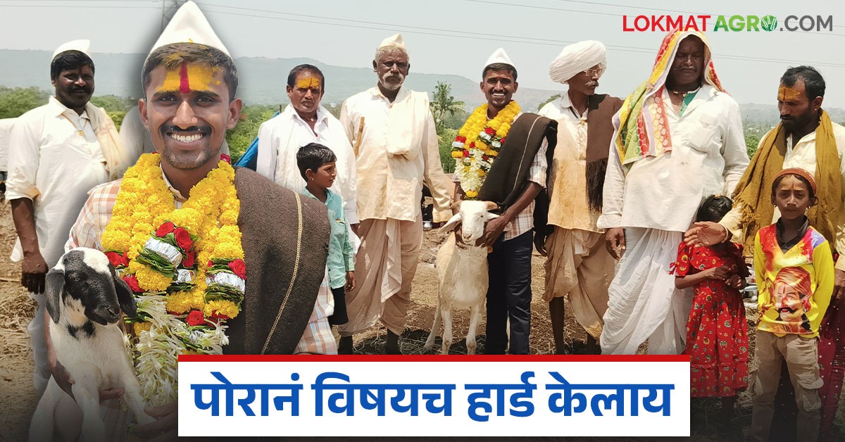 मेंढरं चारणारा बिरदेव युपीएससीच्या रँकमध्ये झळकला; चंद्रमौळी झोपडीवर ...