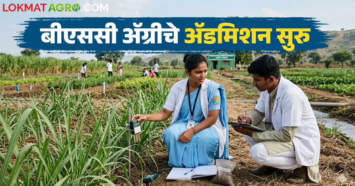 बीएससी अ‍ॅग्री डिग्रीच्या थेट दुसऱ्या वर्षाच्या अ‍ॅडमिशनला सुरूवात ...