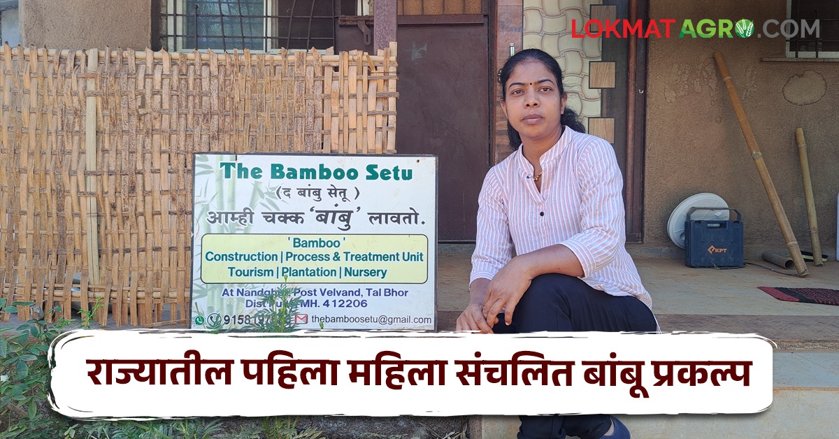 द बांबू सेतू : भोरमधील अतिदुर्गम भागात महिला चालवतेय राज्यातील पहिला ...