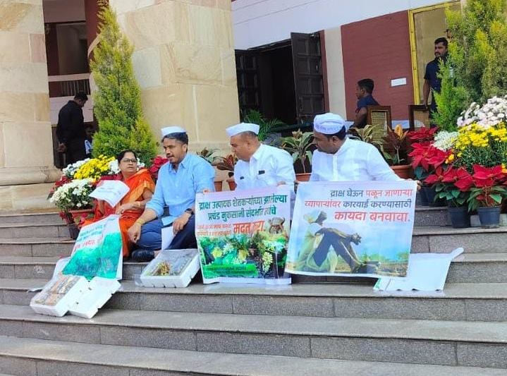 द्राक्षाला एकरी एक लाख मदत द्या; आमदार रोहित पवार, सुमन पाटील यांची ...