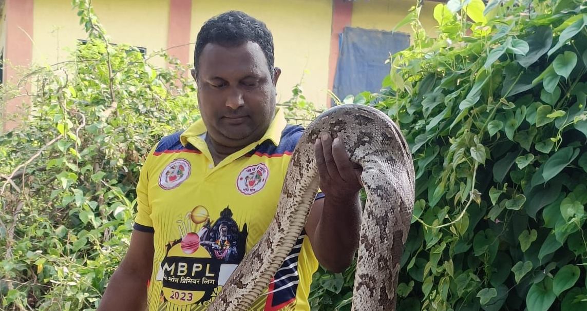 चिरनेरमधील कंटेनरच्या गोदामात आढळला नऊ फुट लांबीचा अजगर Navi mumbai ...