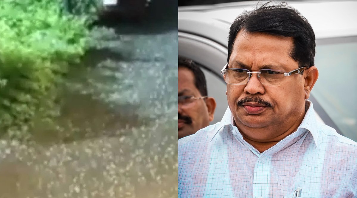 बळीराजावर संकट, ४ जिल्ह्यात रात्री अवकाळी पाऊस; तातडीने पंचनामे ...