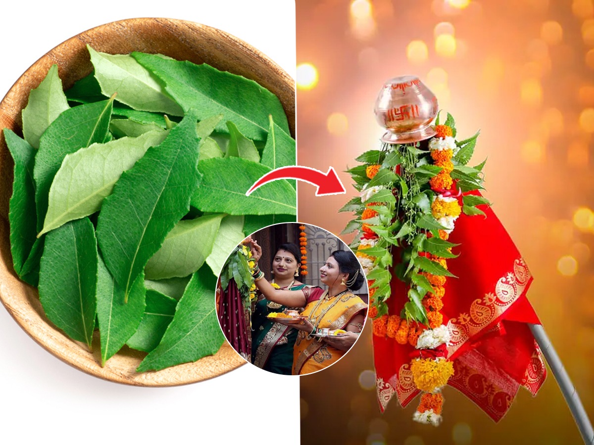 ...म्हणून गुढी पाडव्याला खातात कडूनिंबाची पानं! कडू लागणाऱ्या ...