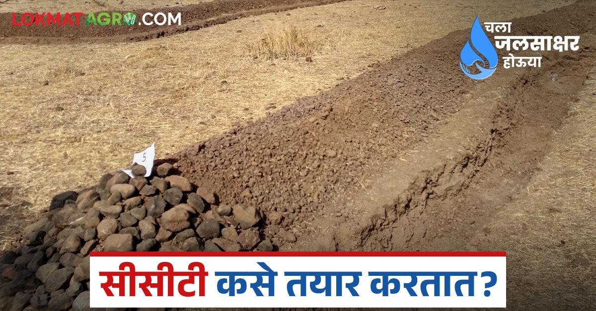 Construct CCT : सलग समतल चर सीसीटी कसे खोदावेत; जाणून घ्या सविस्तर ...