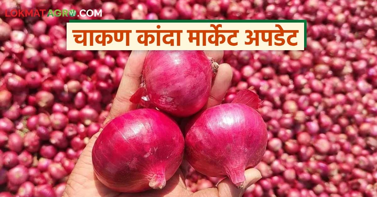 Kanda Batata Market : चाकण बाजार समितीत कांदा, बटाट्याची आवक वाढली; कसा ...