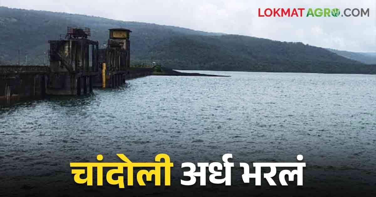 Dam Water: शिराळा तालुक्यात पावसाचा जोर कायम; हे मोठे धरण ५० टक्के भरले ...