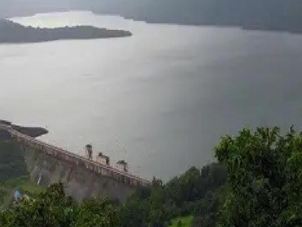 Sangli: चांदोली धरणात गतवर्षीपेक्षा एक टीएमसीने जादा पाणीसाठा - Marathi News | One TMC more ...