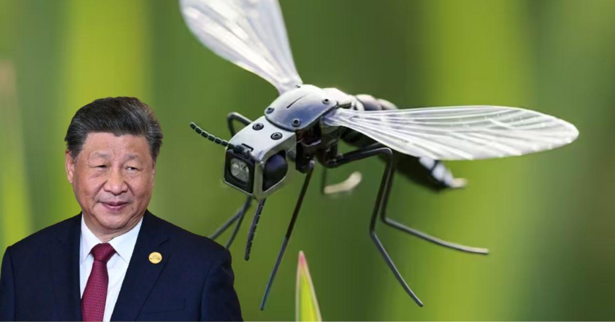 Mosquito Drone: चीनने बनवला 'मच्छर ड्रोन', शत्रूवर ठेवतो बारीक लक्ष ...