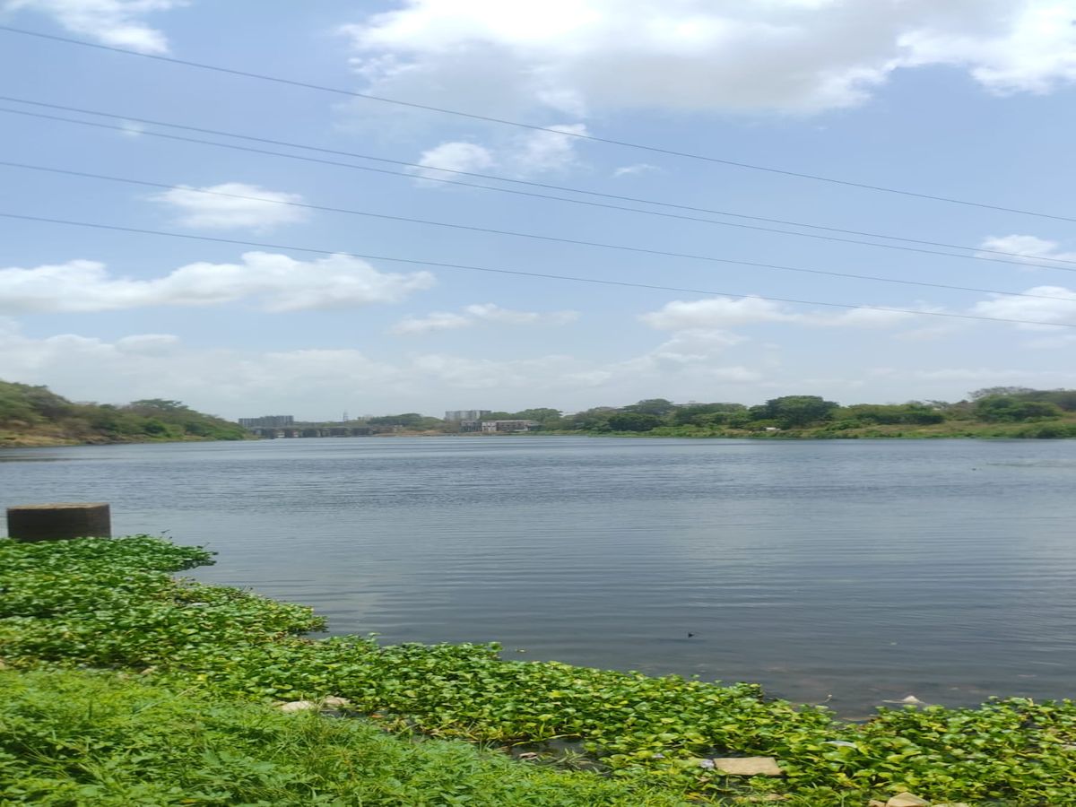 उल्हासनगरातून वाहणाऱ्या उल्हास नदीचे पात्र झाले जलपर्णी मुक्त ...