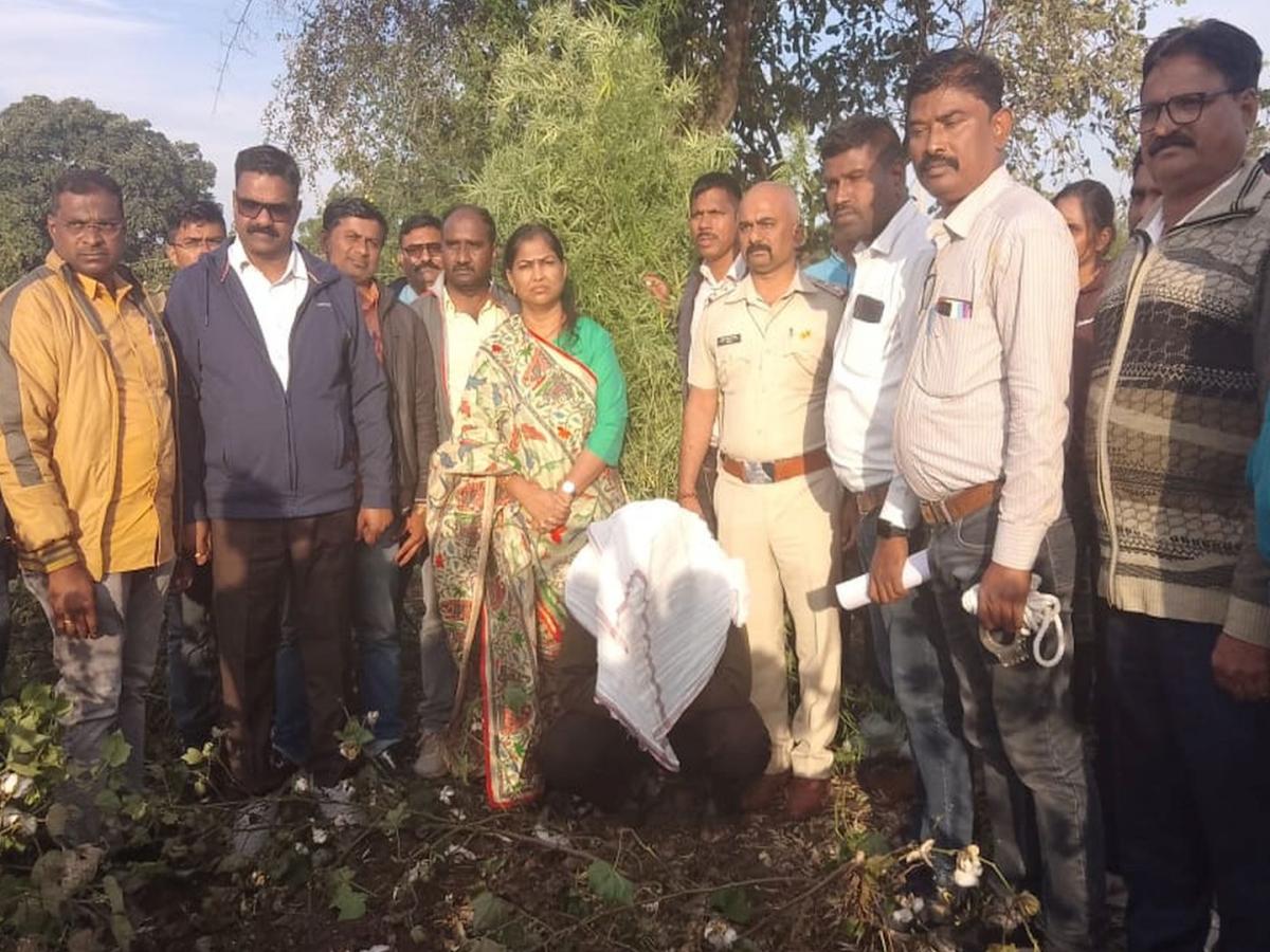 मोताळा तालुक्यातील लपाली येथे लाखाेंचा गांजा पकडला, राज्य उत्पादन ...