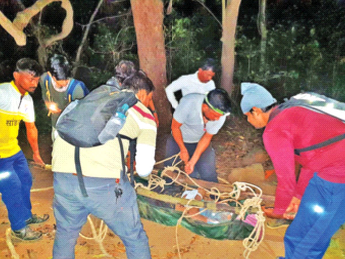 ढाक बहिरीवरून पडून ट्रेकरचा मृत्यू Mumbai Marathi News | Trekker dies ...