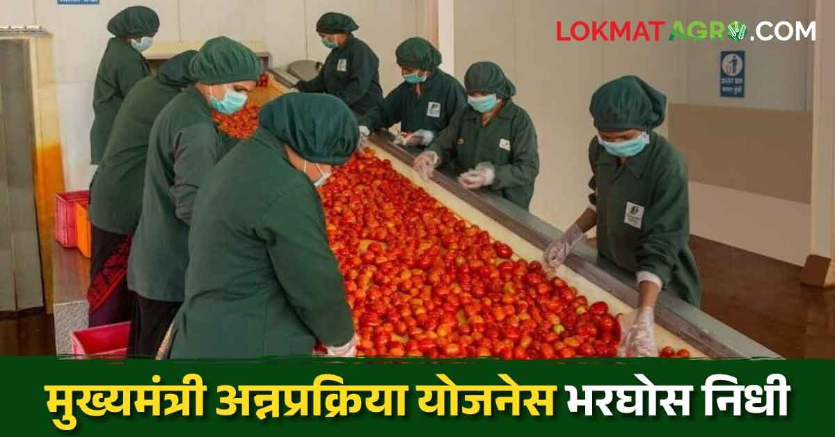 CM food processing scheme मुख्यमंत्री कृषि व अन्न प्रक्रिया योजना सन ...