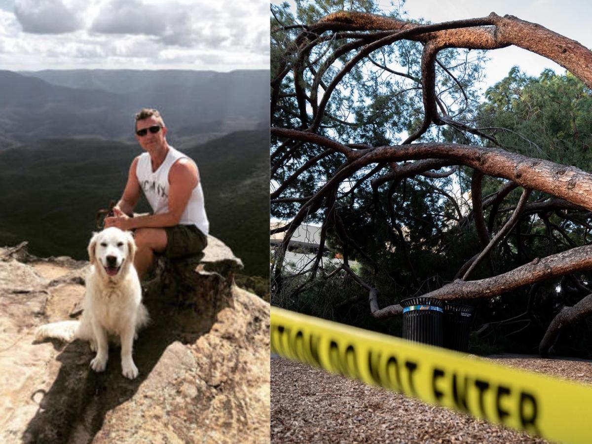 झाडाची फांदी कोसळून प्रसिद्ध अभिनेत्याचा ५४ वर्षीय दुर्देवी मृत्यू ...