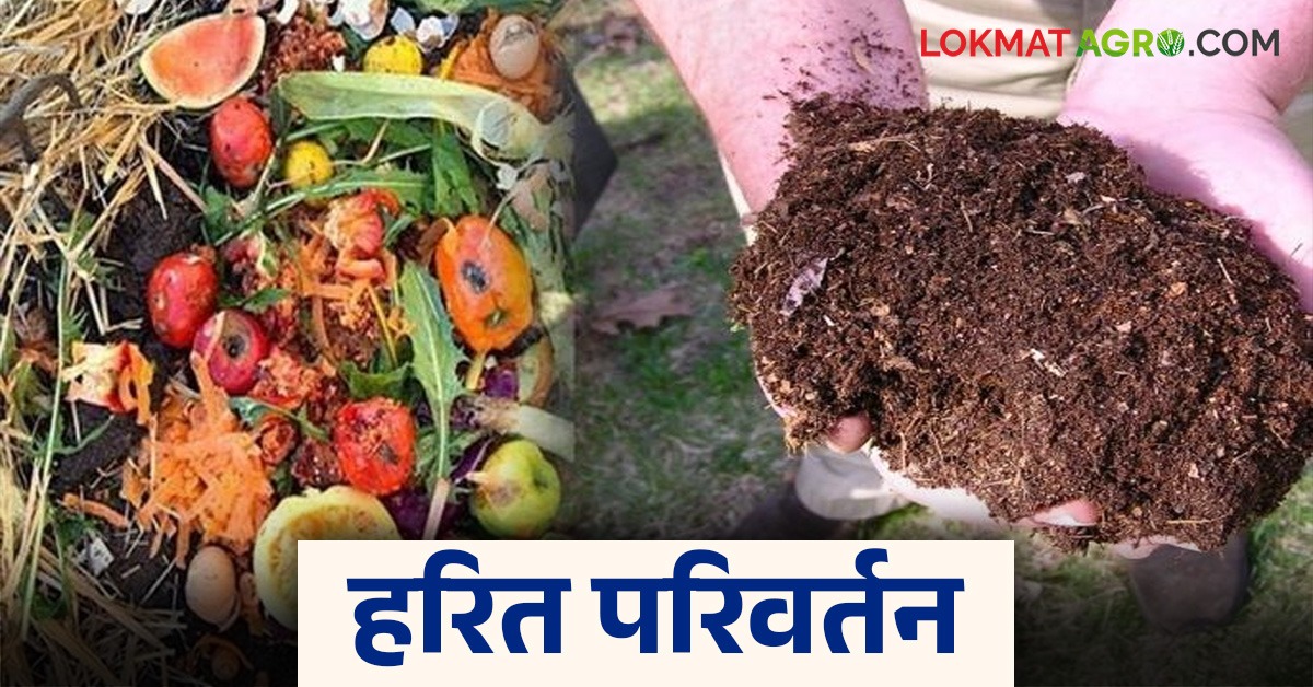 latest news Compost pits will be created; gold will grow in everyone's ...