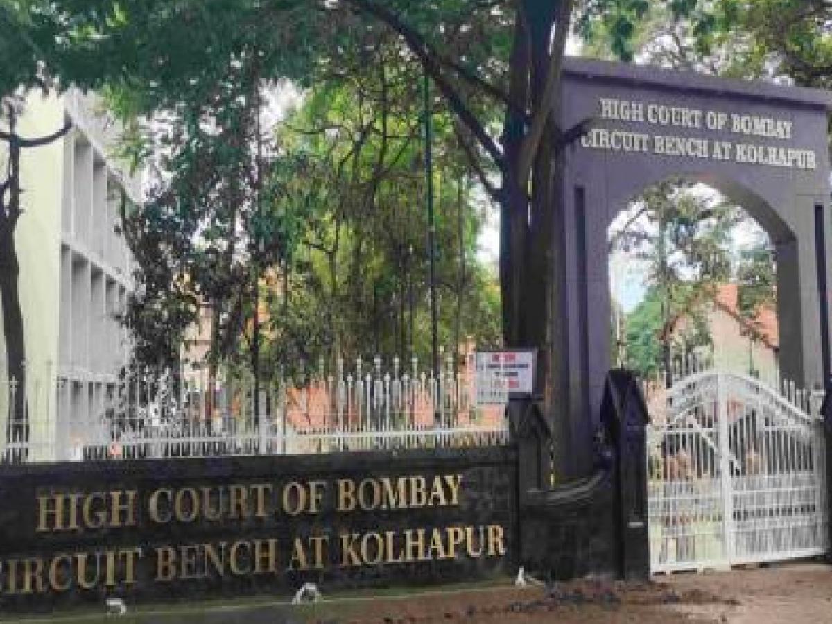 प्रभाग रचनेचे अधिकार निवडणूक आयोगानेच शासनाला दिले, सरकारी वकिलांनी ...