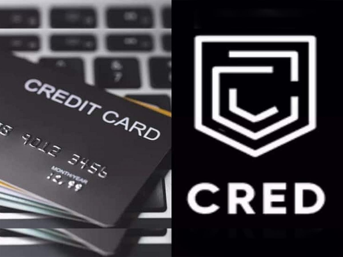 UPI द्वारे पमेंट करा आणि मिळवा दुप्पट कॅशबॅक, CRED ने सुरू केली नवी ...