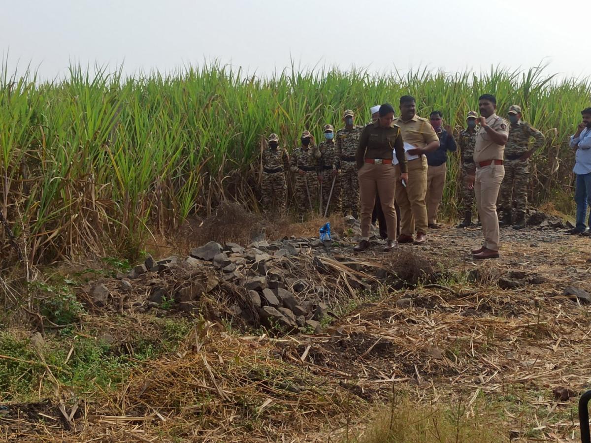 साताऱ्यात ऊसाच्या शेतात अर्धवट अवस्थेतील महिलेचा मृतदेह सापडला; अंधश्रद्धेचा बळी? - Marathi News ...