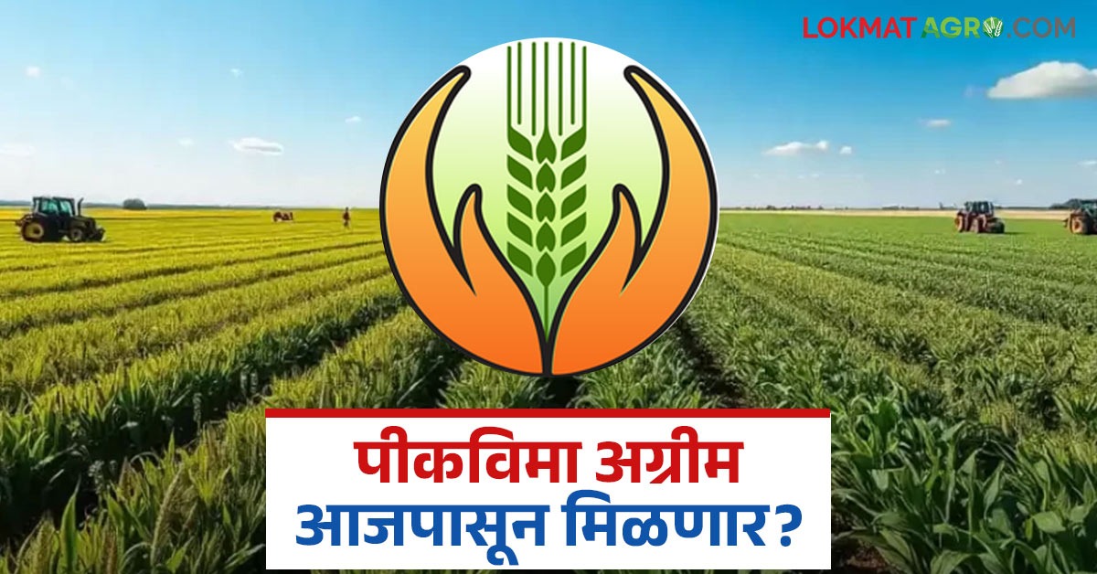 latest news Finally the wait is over; From today, crop insurance ...