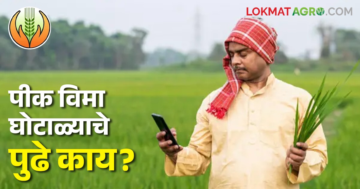 Crop Insurance Scam will crimes be registered now?