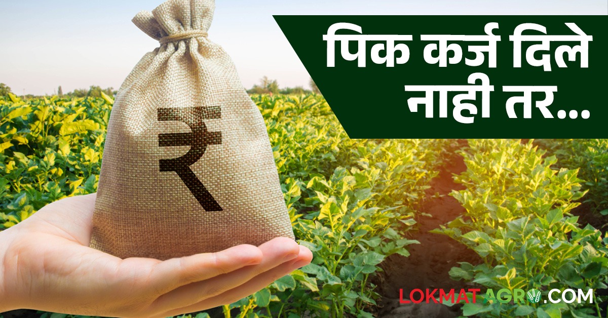 Pik Karj : पीक कर्ज नाकारणाऱ्या बँकांवर कायदेशीर कारवाई करणार; महसूल ...
