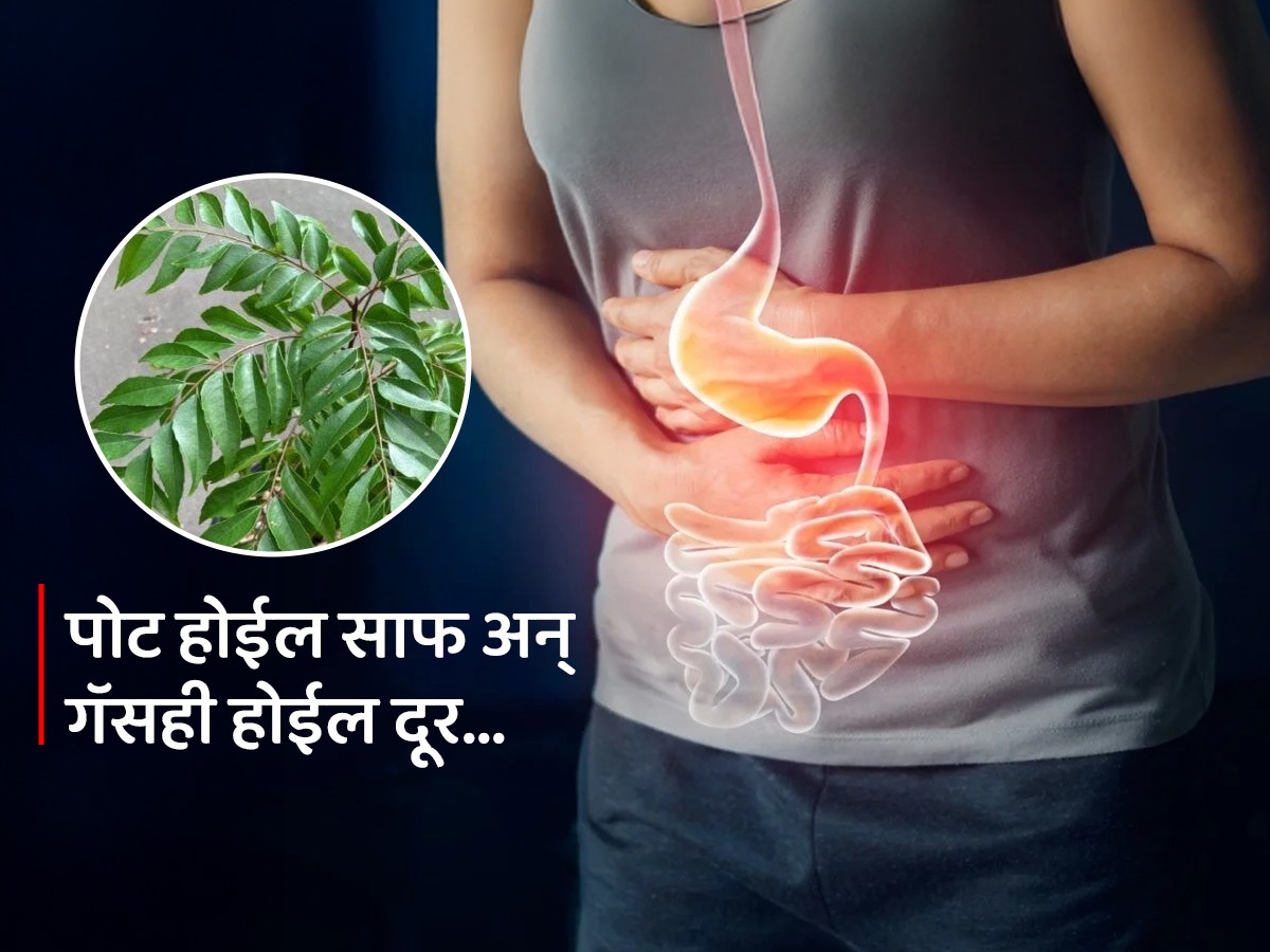 पोट साफ न होणे, गॅस या समस्या झटक्यात दूर करतो कढीपत्ता, जाणून घ्या ...