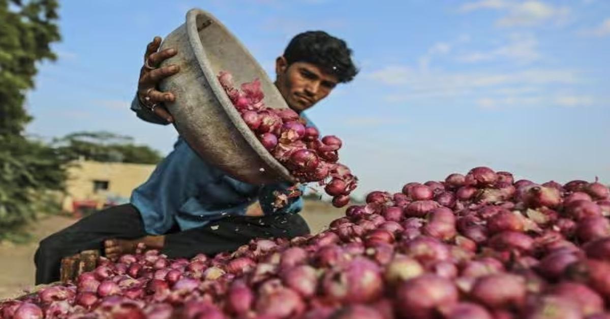 कांदा उत्पादकांना सरकारकडून दिलासा; प्रति ३५० रुपये क्विंटल अनुदान जाहीर Maharashtra Marathi ...