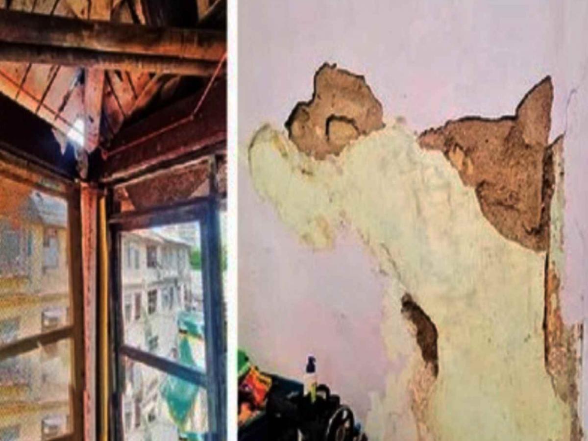 दादरमध्ये म्हाडा-LICमध्ये रहिवासी अडकले; १२४ वर्षे जुन्या इमारतीत ८५ ...