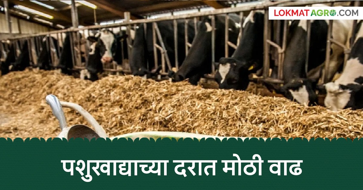 latest news Dairy Farmers Crisis : dhep darvadhine pashupalak trast ...