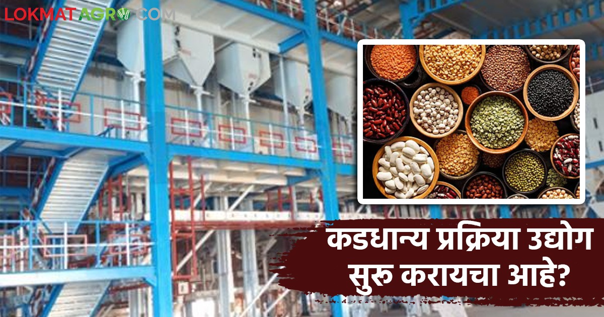 latest news Dal Mill Unit : Farmers, want to start a grain processing ...