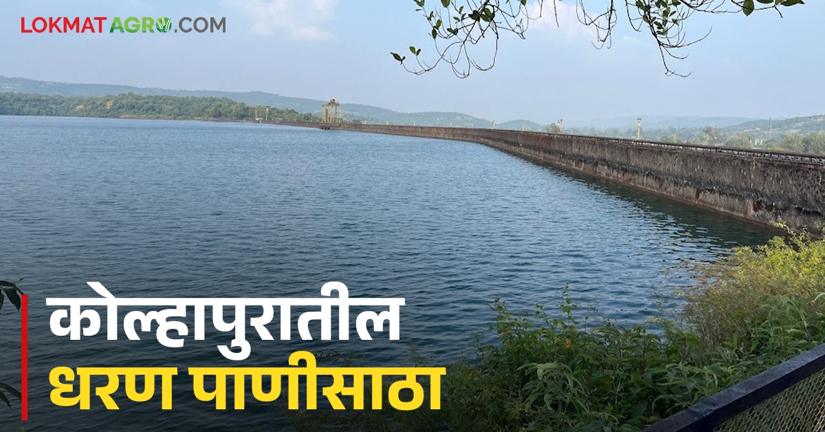धरण क्षेत्रात धुवाधार पाऊस; कोल्हापूर जिल्ह्यातील कोणत्या धरणात वाढला ...