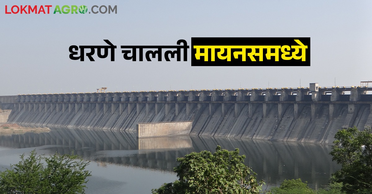 फेब्रुवारीतच धरणांनी गाठला तळ.. बसणार दुष्काळाची झळ | The dams reached ...