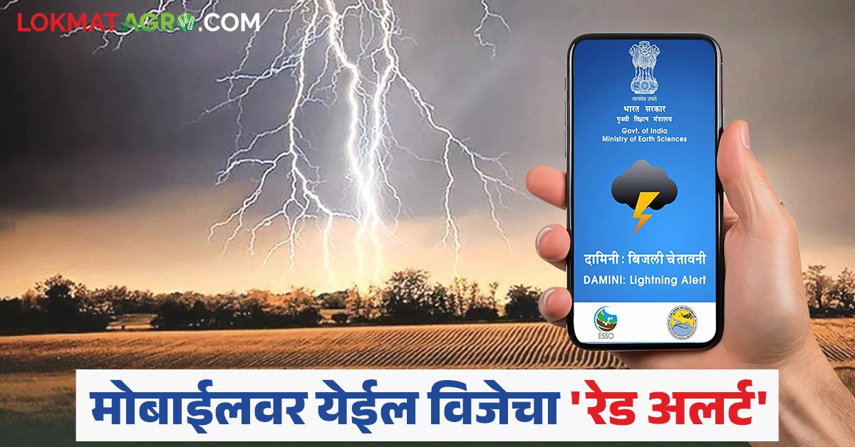 latest news Damini App: Get Lightning Alerts 15 Minutes Before a Strike ...