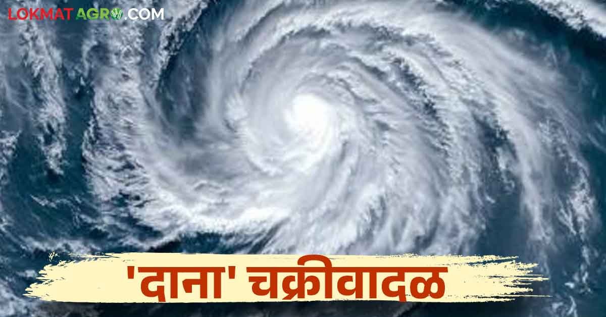 what is Effect of Cyclone 'Dana' on Maharashtra read in details