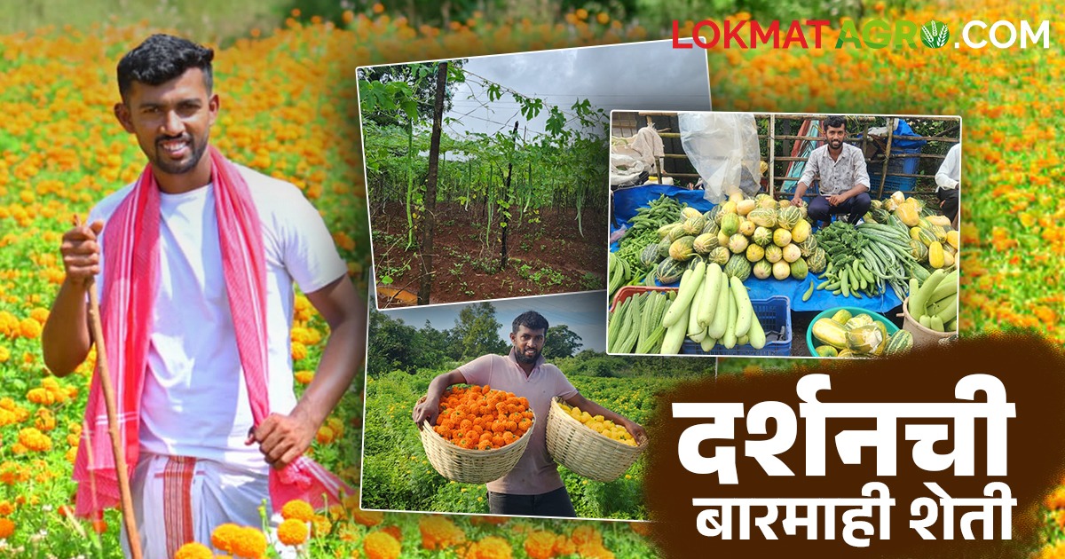 Young Farmer Success Story : व्यवसायाला रामराम करून तरुण शेतकरी दर्शनने ...
