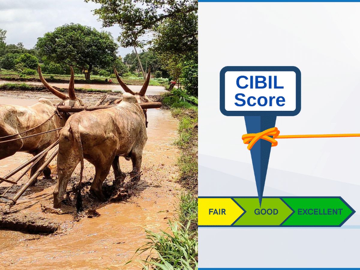 सिबिल लावताय? आधी शेतीचा धंदा फायद्याचा तर होऊ द्या! - Marathi News ...