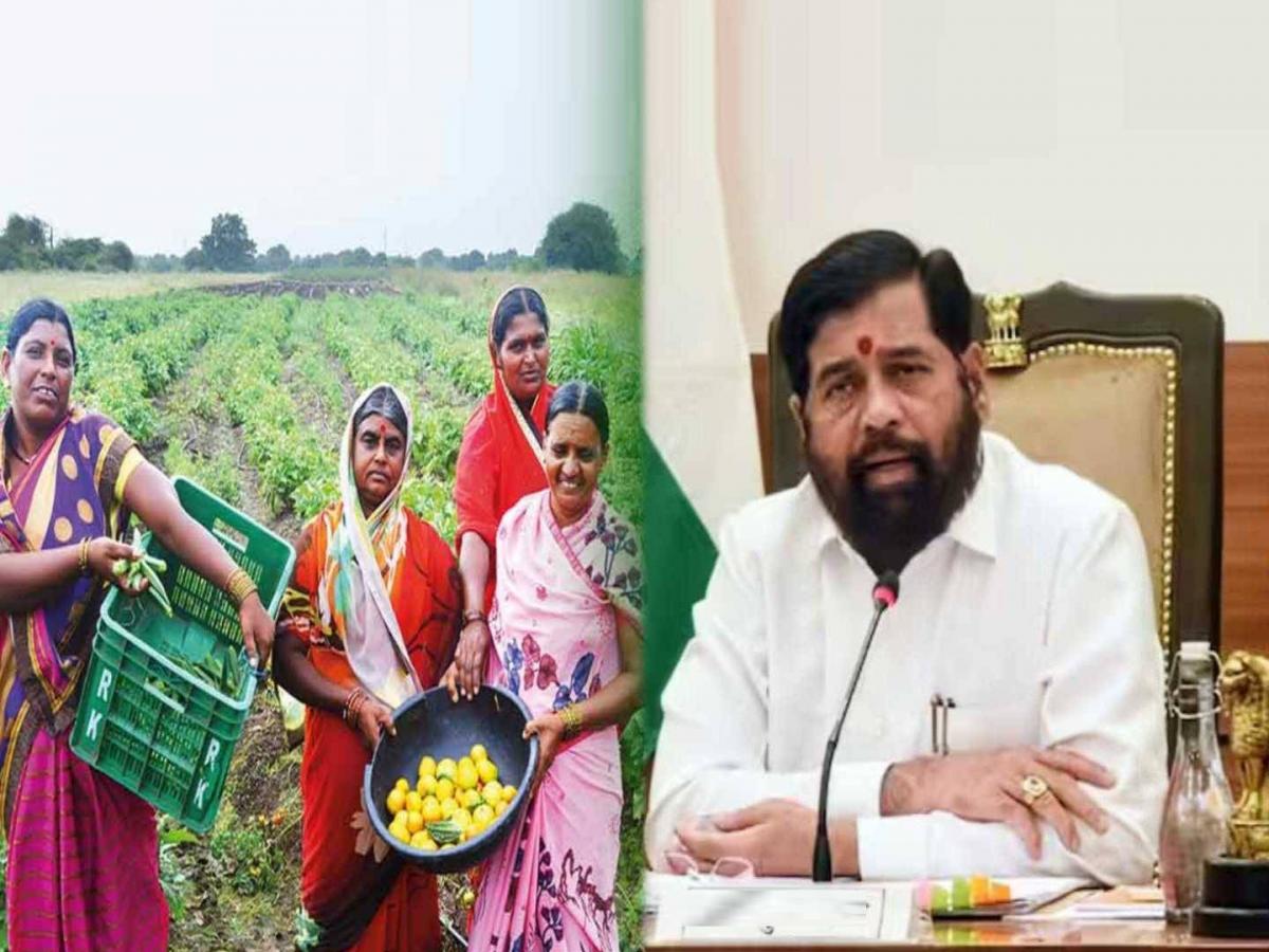 “लाडकी बहीण योजना बंद केली तर १० योजना सुरू करता येतील”; शिंदेसेनेतील ...