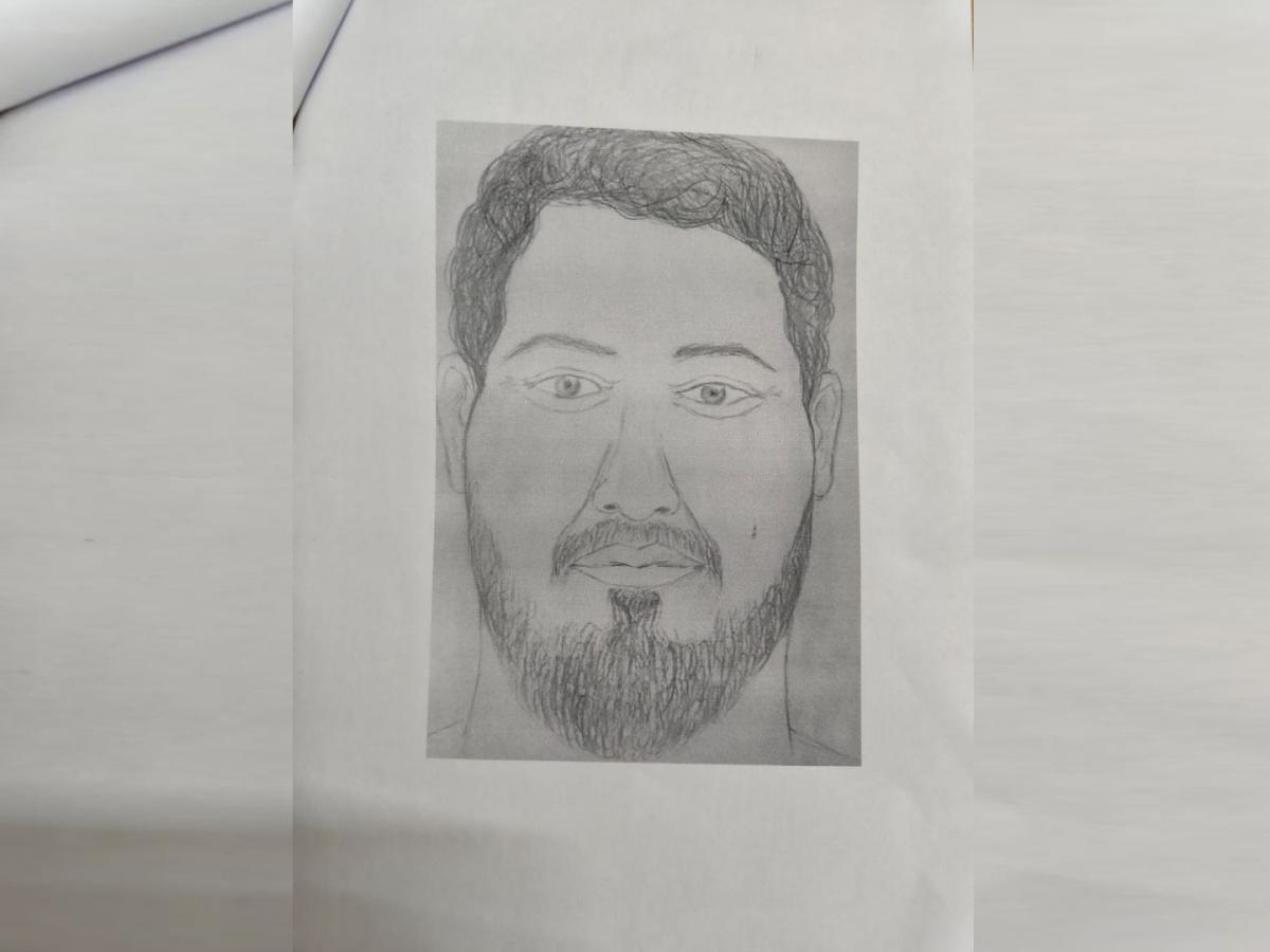 गोव्यात मुख्य सर्व्हेक्षकाला मारहण, पोलिसांनी तयार केलं संशयिताचं स्केच ...