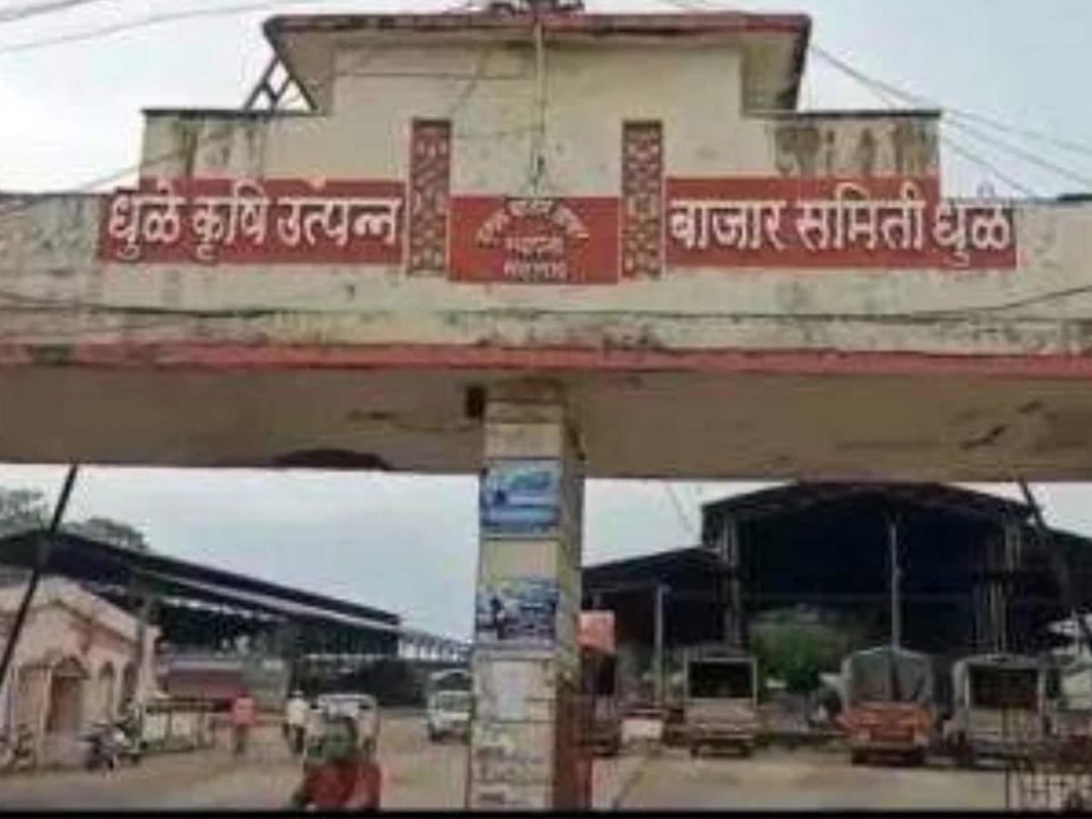 धुळे बाजार समितीवर महाविकास आघाडीचे वर्चस्व कायम Dhule Marathi News ...