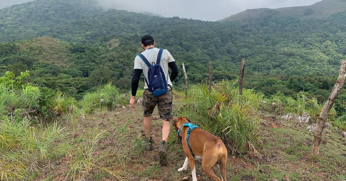 कुटुंबासह गोव्यात गेलेल्या अभिनेत्याचा गंभीर अपघात; बंगळुरुमध्ये उपचार ...