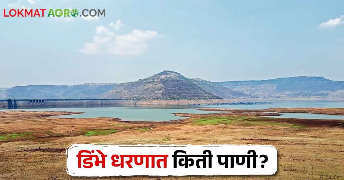 Dimbhe Dam डिंभे धरणाने गाठला तळ; किती पाणीसाठी शिल्लक | Bottom reached ...